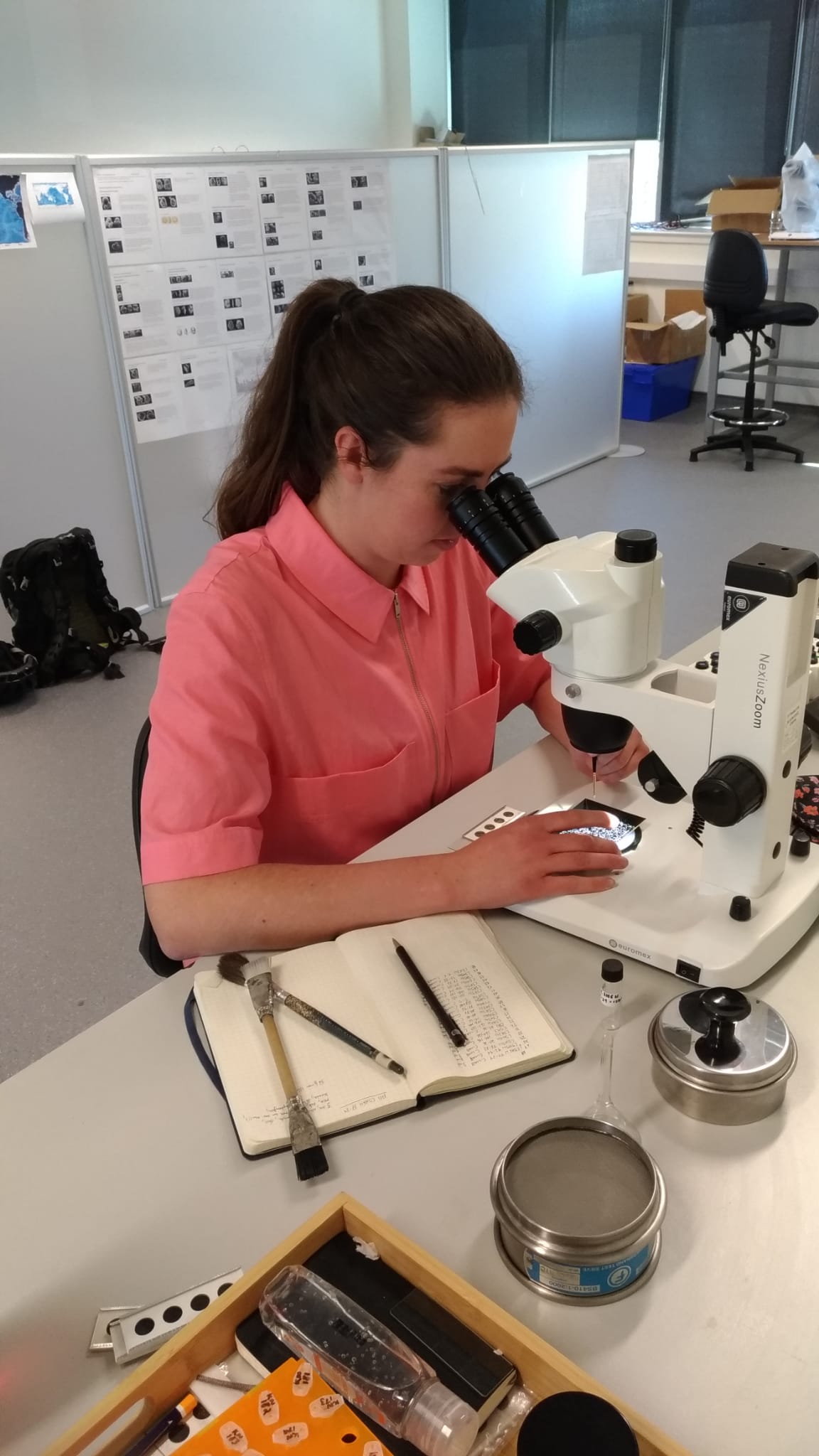 About – Past Climates